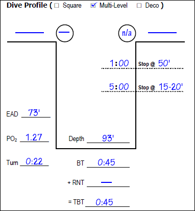 Nerd tips for things you probably won't use: Custom Scuba Diving Logs