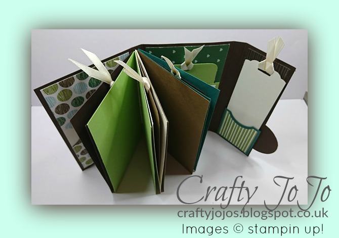Crafty JoJo`s Blog: Tutorial for the Male Mini Album with loads of ...