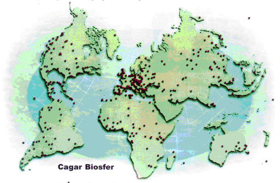 Blog Belajar IPA SMP: Ekosistem