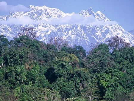 Beyond the Clouds- The Mountains, My Home: Hkakabo Razi- Myanmar's ...