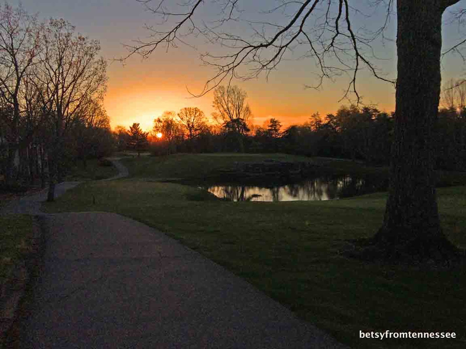 JOYFUL REFLECTIONS: Early Morning Walks on the Golf Course Cart Path