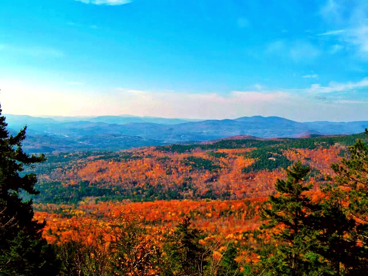 Welch & Dickey Loop Trail- White Mountains, NH
