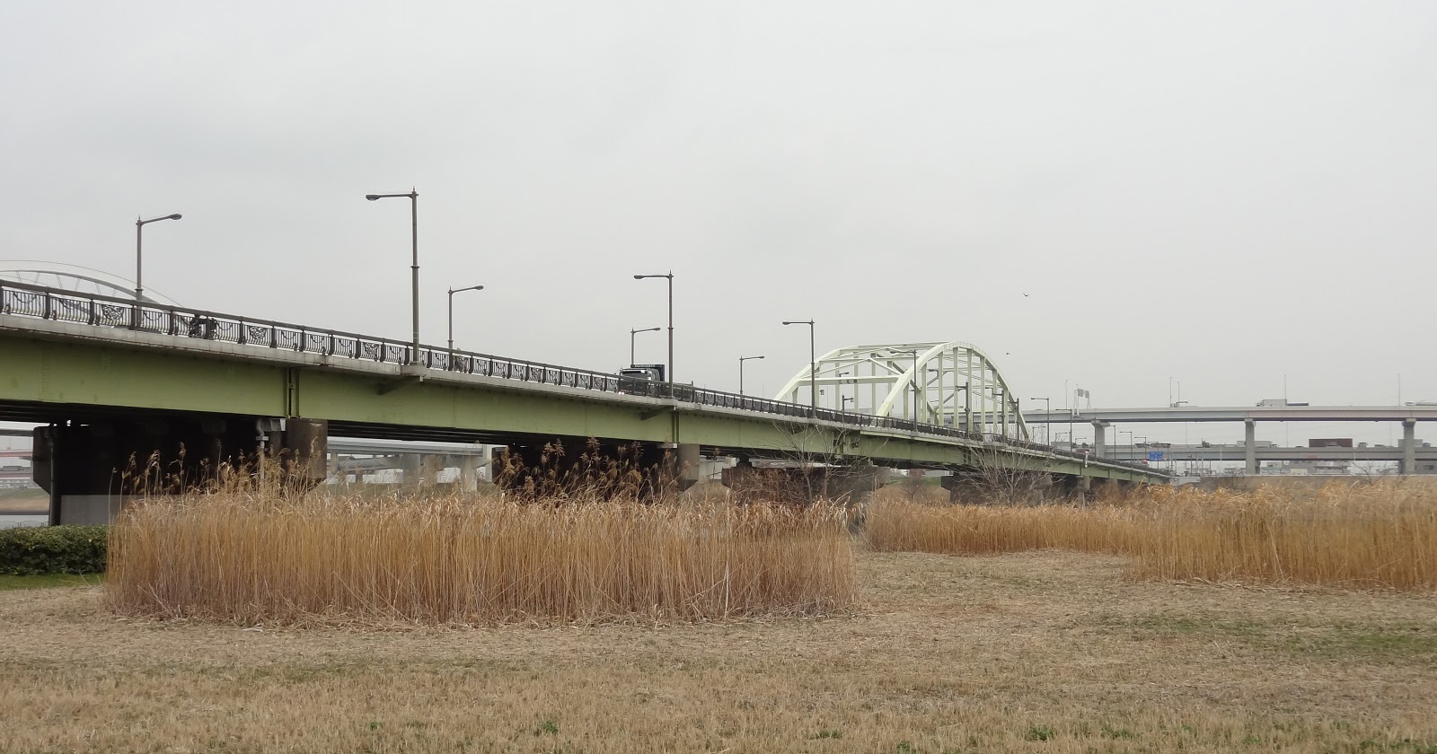 Bridge of the Week: Tokyo, Japan's Bridges: Kohoku Bridge across the ...
