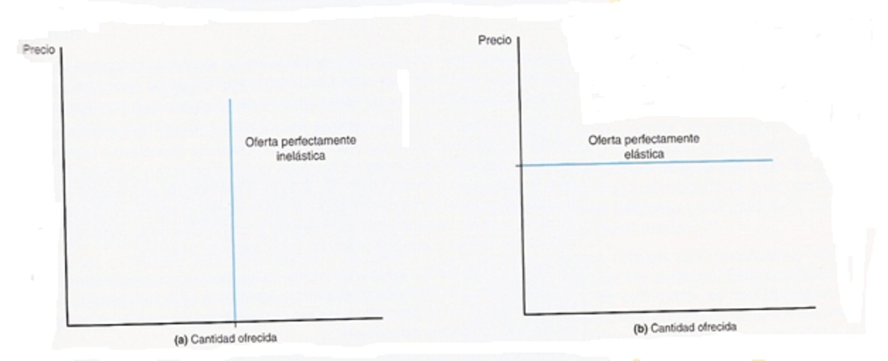 COMERCIO INTERNACIONAL: Elasticidad de la Oferta