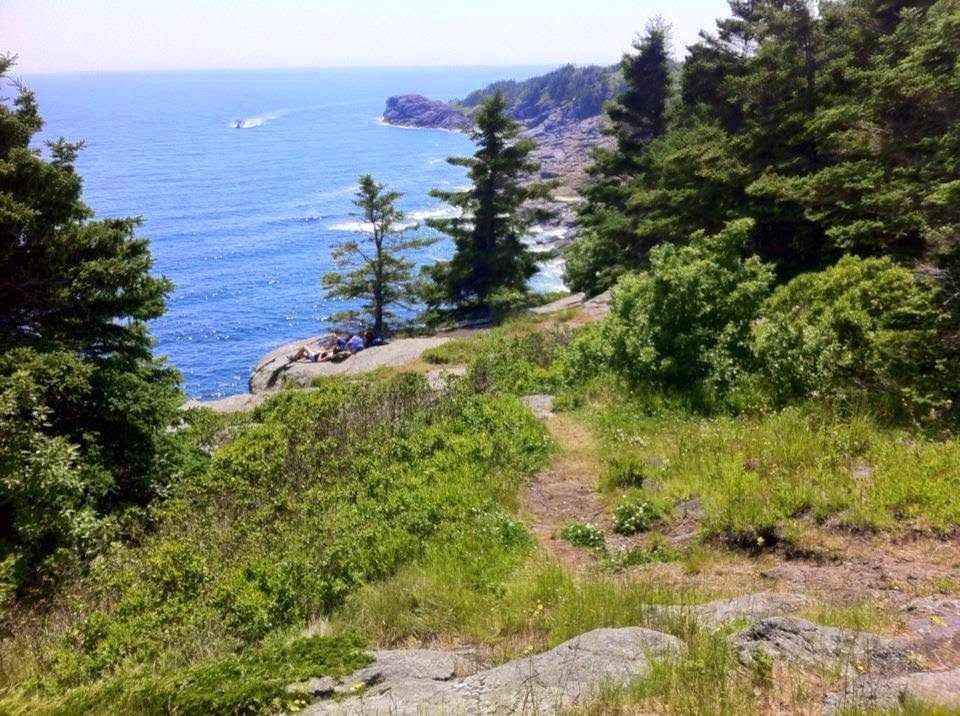 Jody Regan Paints: Monhegan Sketchbook June 30