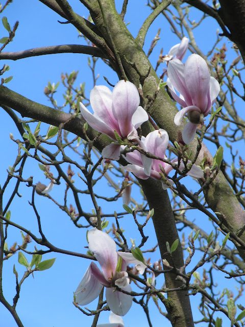 Kirk Dale: May Day . . . May Day!