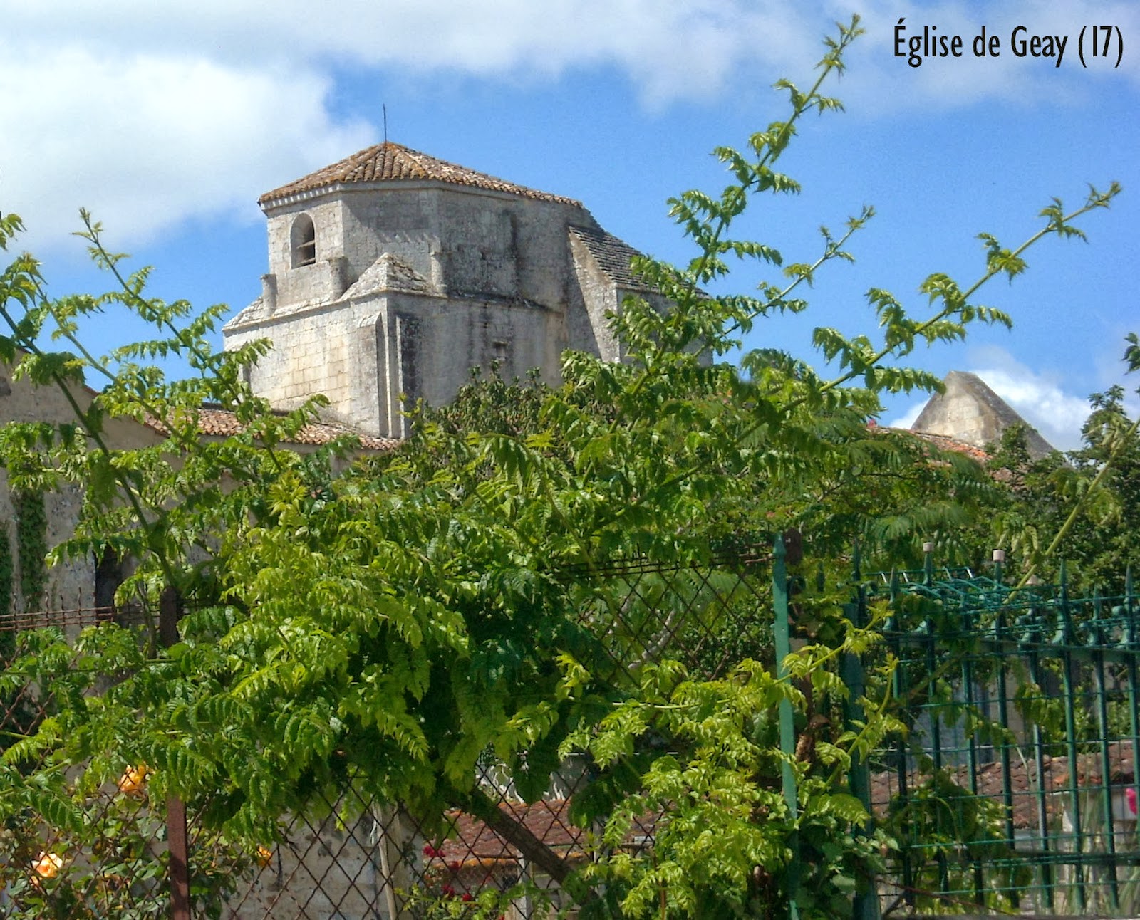 LES MILLE-PATTES DE SAINTONGE: GEAY EN CHARENTE-MARITIME
