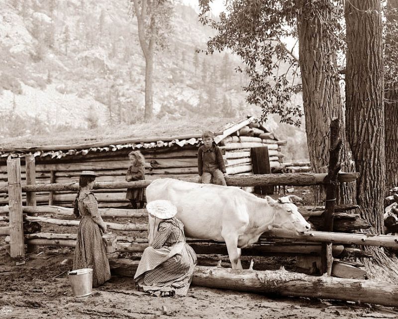 37 Lovely Photos That Show Farm Ladies Over 100 Years Ago ~ Vintage ...