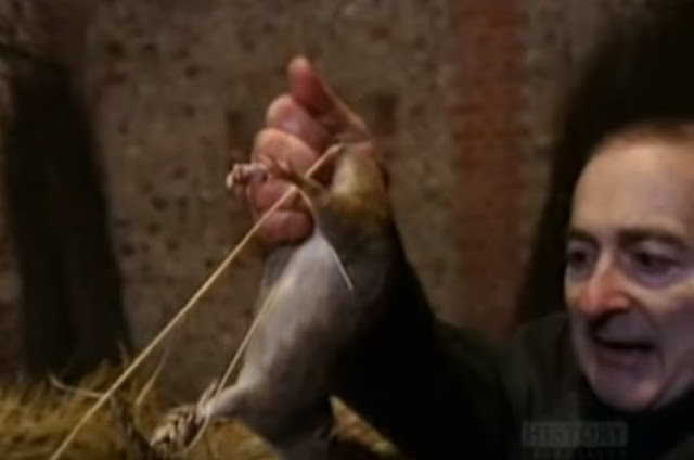 Palin Family History and Research: Week Fourteen: Rat Catcher