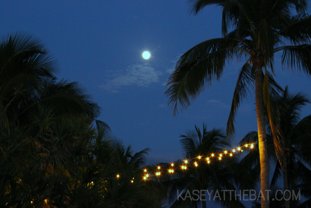 Naples, Florida with Kasey at the Bat | Southern Exhilaration