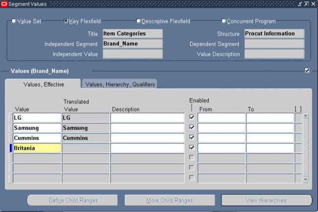 Oracle Inventory Flexfields Implementation « Learn Oracle