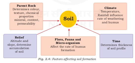 Notes of Ch 2 Land, Soil, Water, Natural Vegetation and Wildlife ...