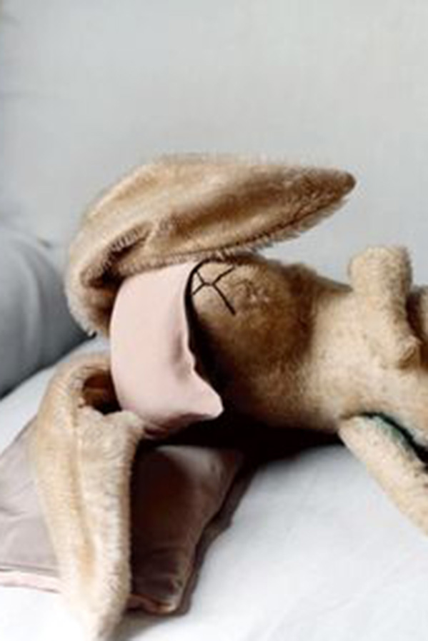 Southern Matriarch: March 2016