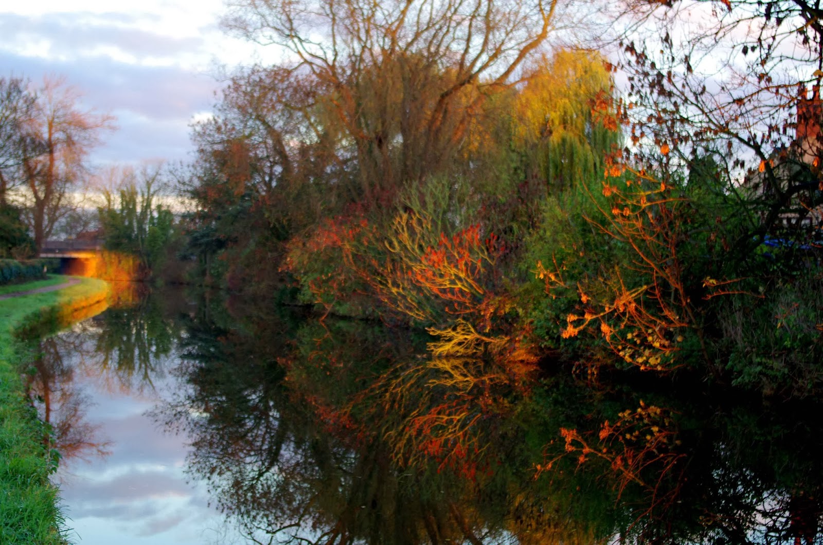 Out & About: Swarkestone Junction to the Trent Viaduct