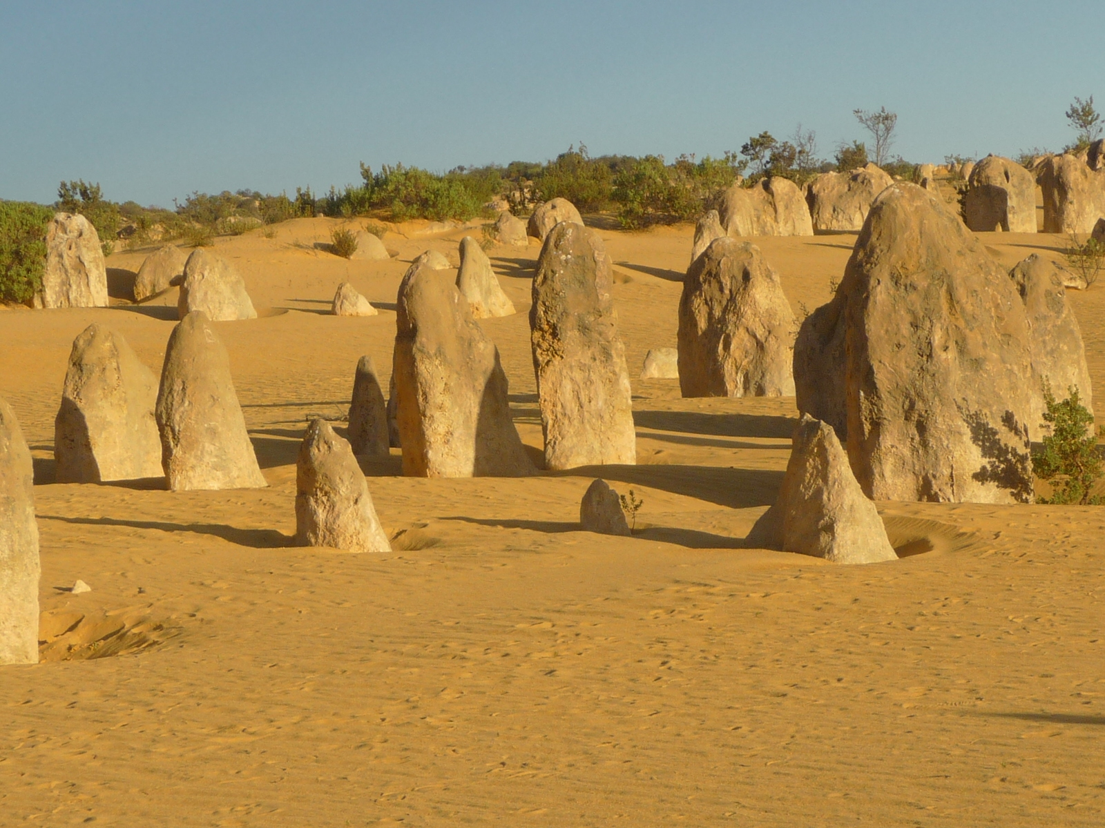 Australian Adventures: Nambung National Park and Wanagarren Nature ...