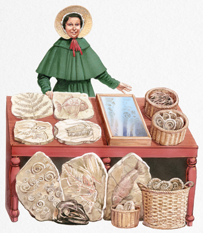 The History Girls: Mary Anning by Miranda Miller