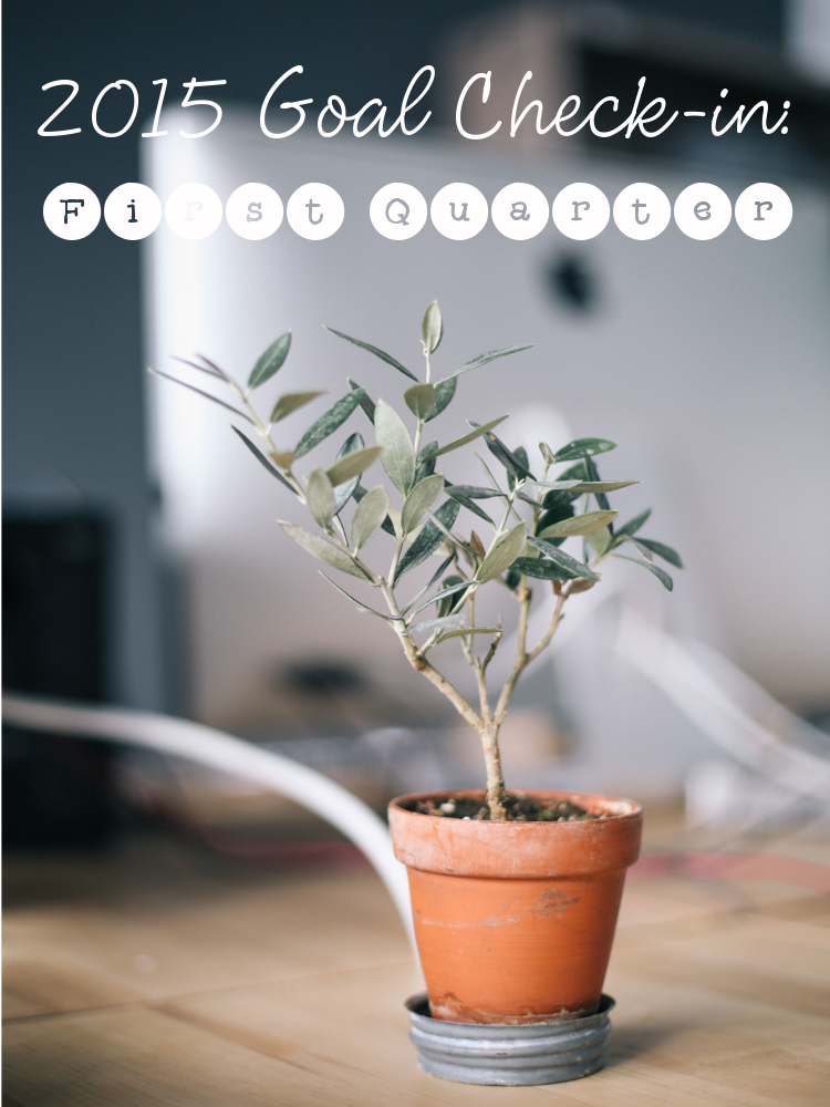 2015 Goals Check-in.