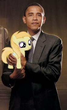 #93547 - safe, noi, human, pony, barack obama, filly, irl, photo ...