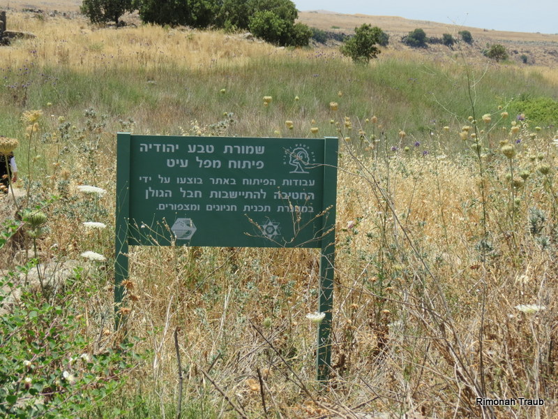 Let us tour Eretz Yisroel.: Tzir Mapalei Hamayim and Its Arvei Nachal©