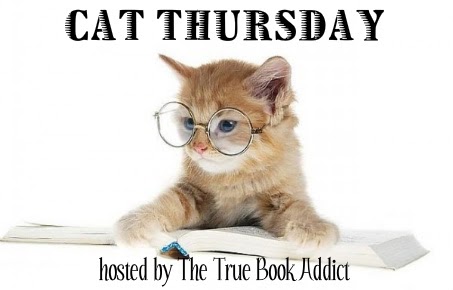 True Book Addict...Books, Cats, and More: Cat Thursday--Grumpy returns
