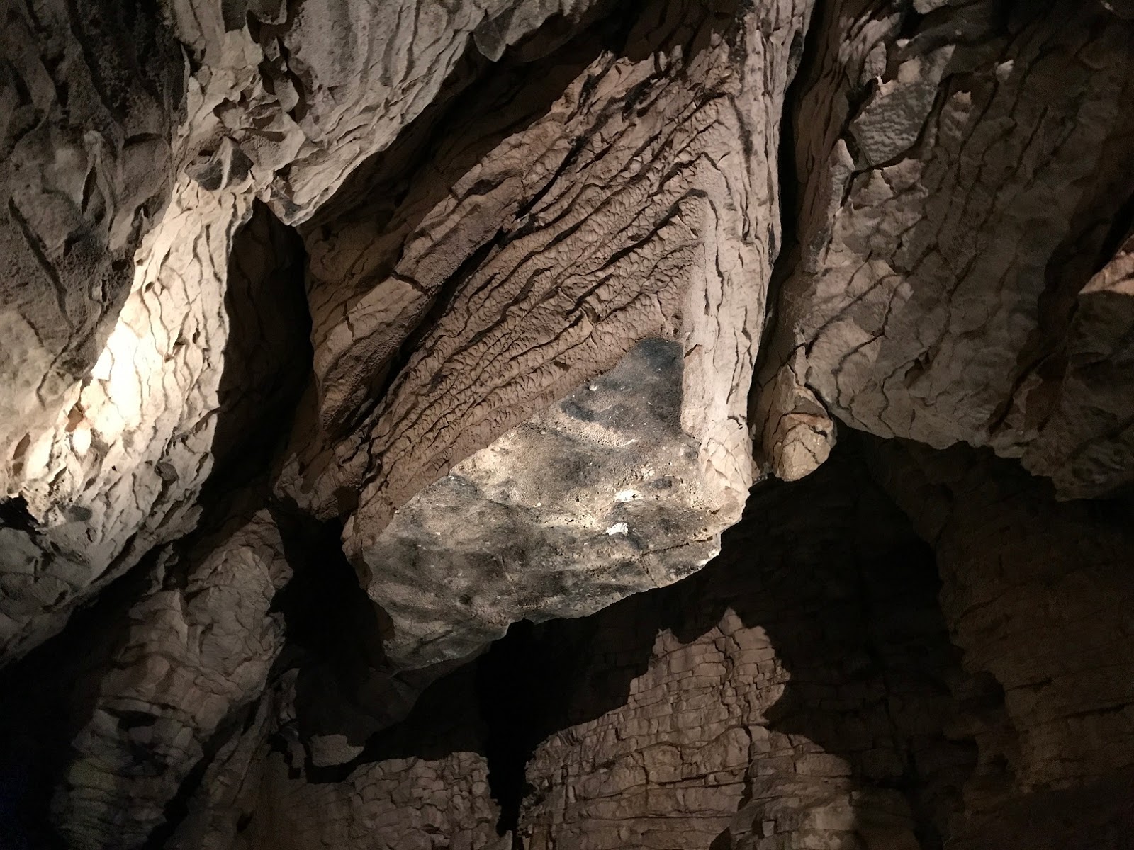 My Little Princess and Prince: 7 Dec 2018 - NZ Day 7: Ruakuri Cave