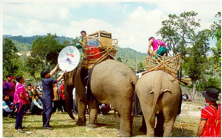 CEREBRAL BOINKFEST: 6/19/11 - 6/26/11