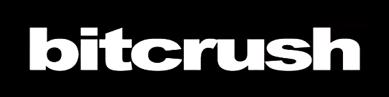 SON OF FLIES webzine: Intervista: BITCRUSH - "UNA PROGRESSIONE SENZA FINE"