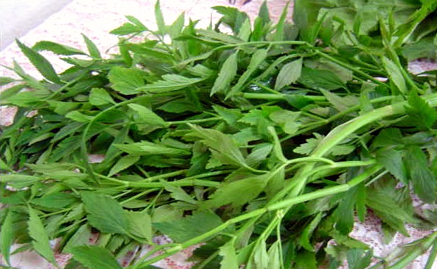 RESEPI NENNIE KHUZAIFAH: KERABU DAUN SELOM