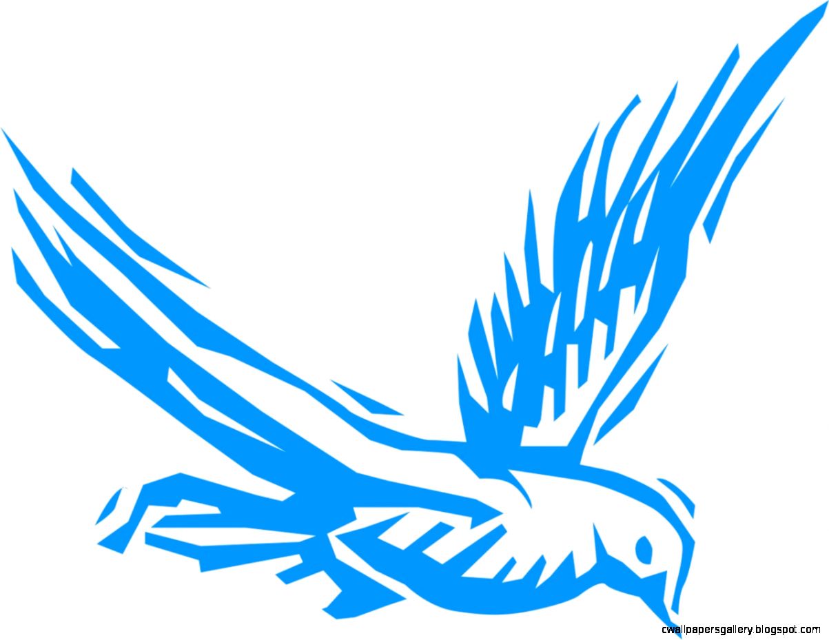 Blue Bird Flying | Wallpapers Gallery