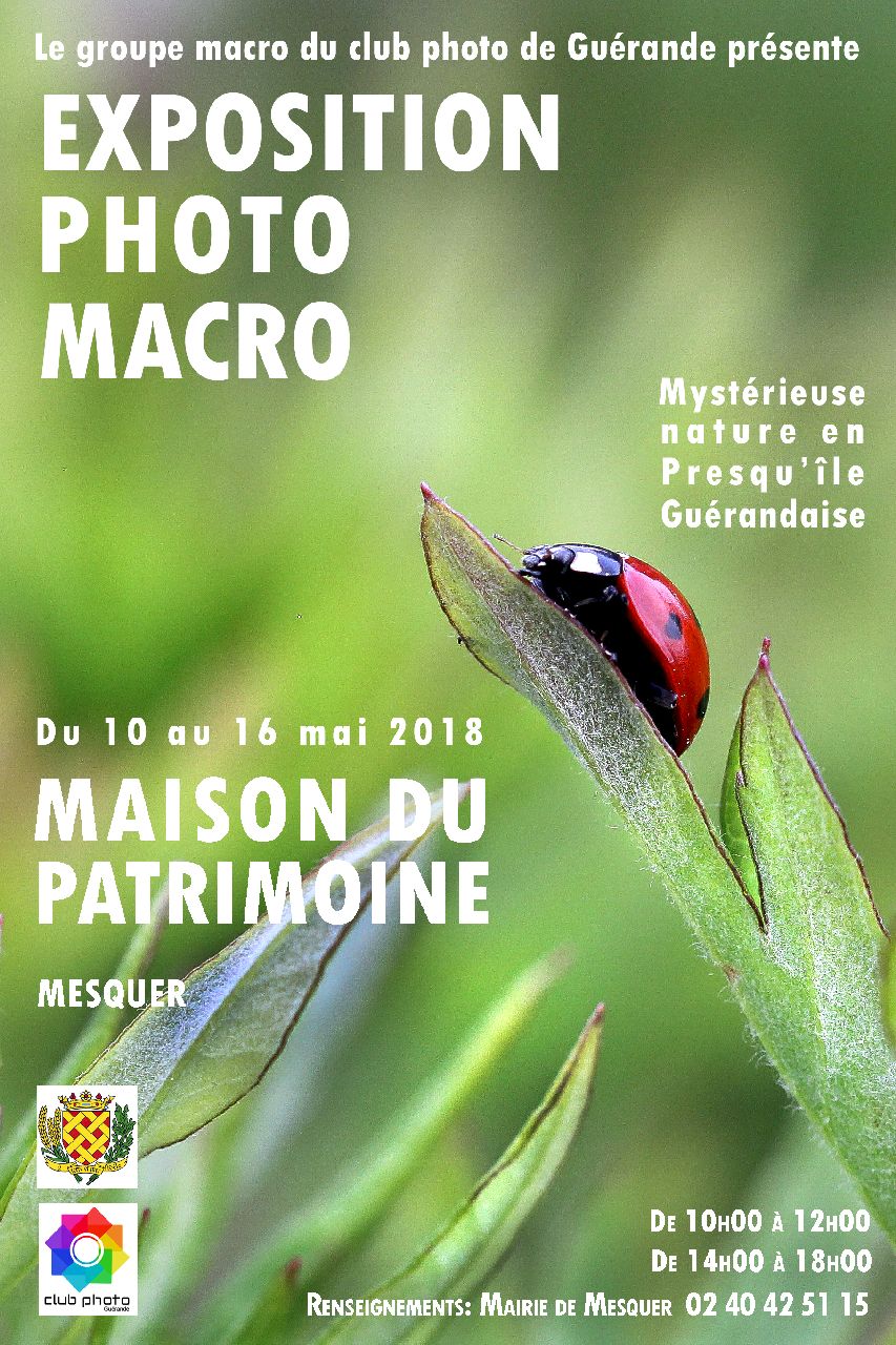 Macrophoto plaisir passion