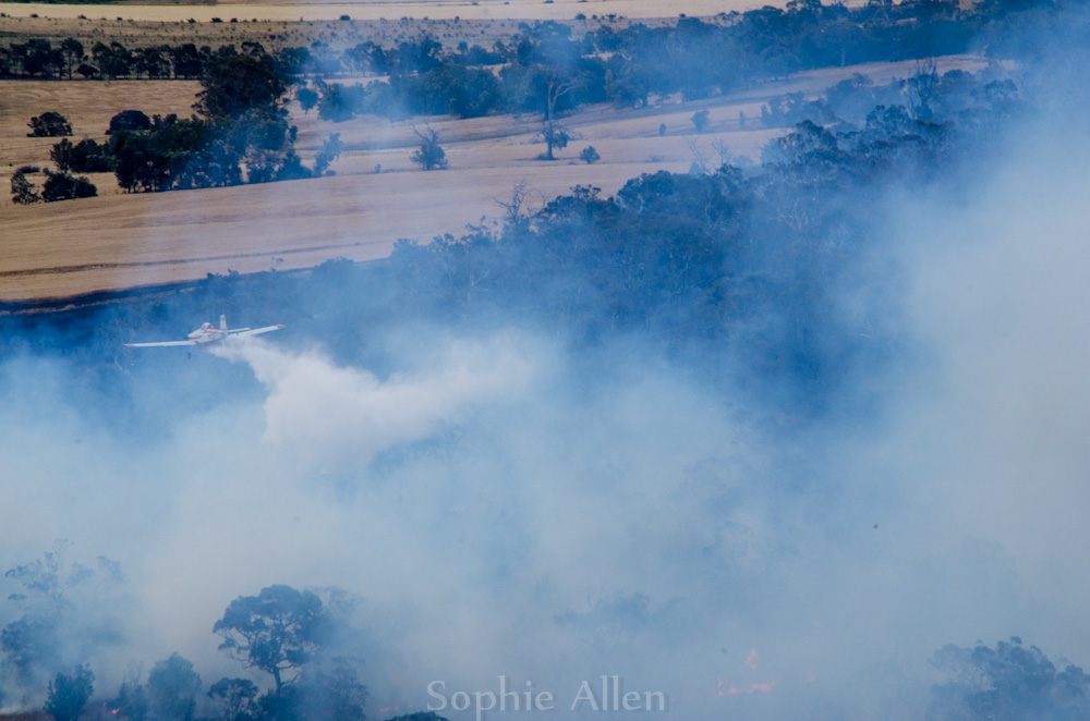 iSophie: The -worst- day ever! (Bushfires)