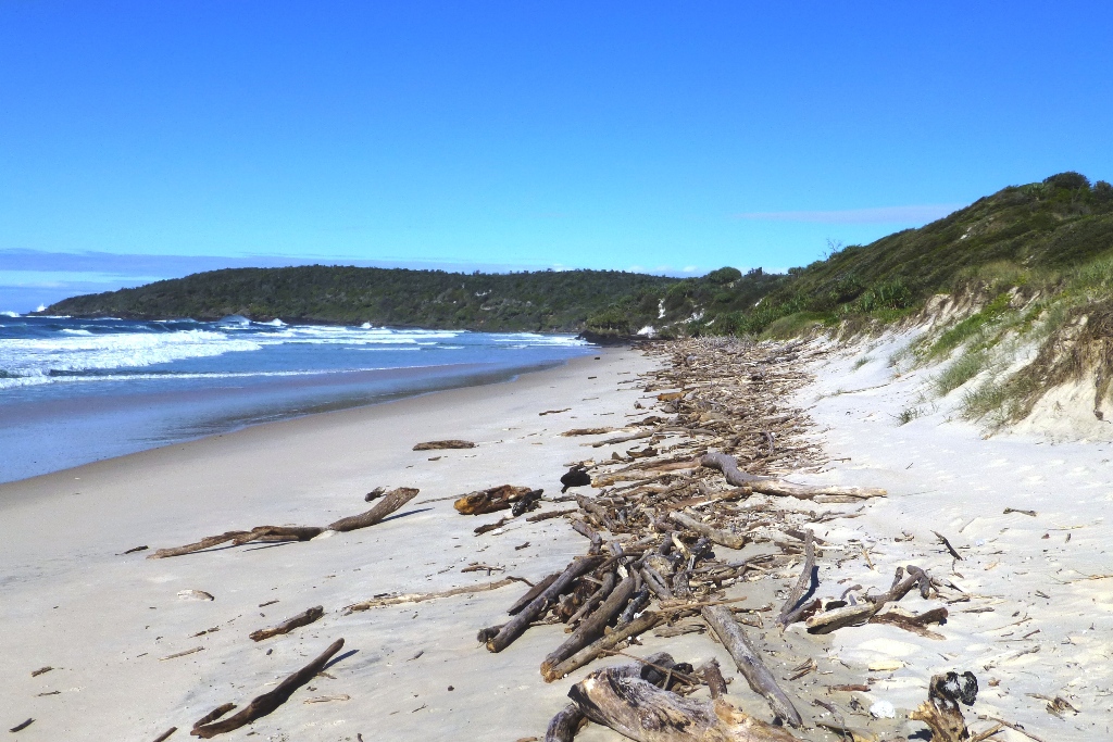 National Park Odyssey: Angourie and Yuraygir National Park, NSW.