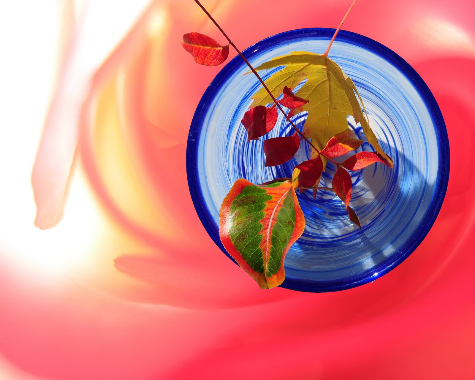 The 12 Steps and Zen Koans: Creating Space Between Thoughts