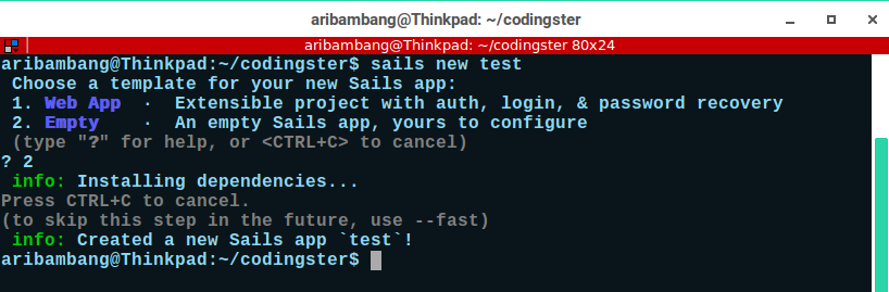 How To Install Sails.js With NPM - Codingster How To Install Sails.js With NPM - Codingster