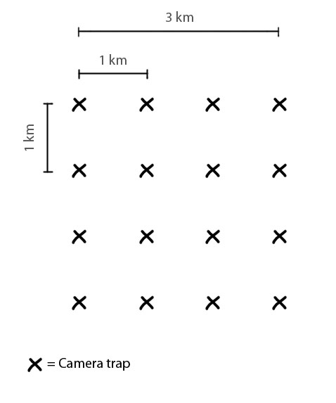 Camtrap update - March 2013