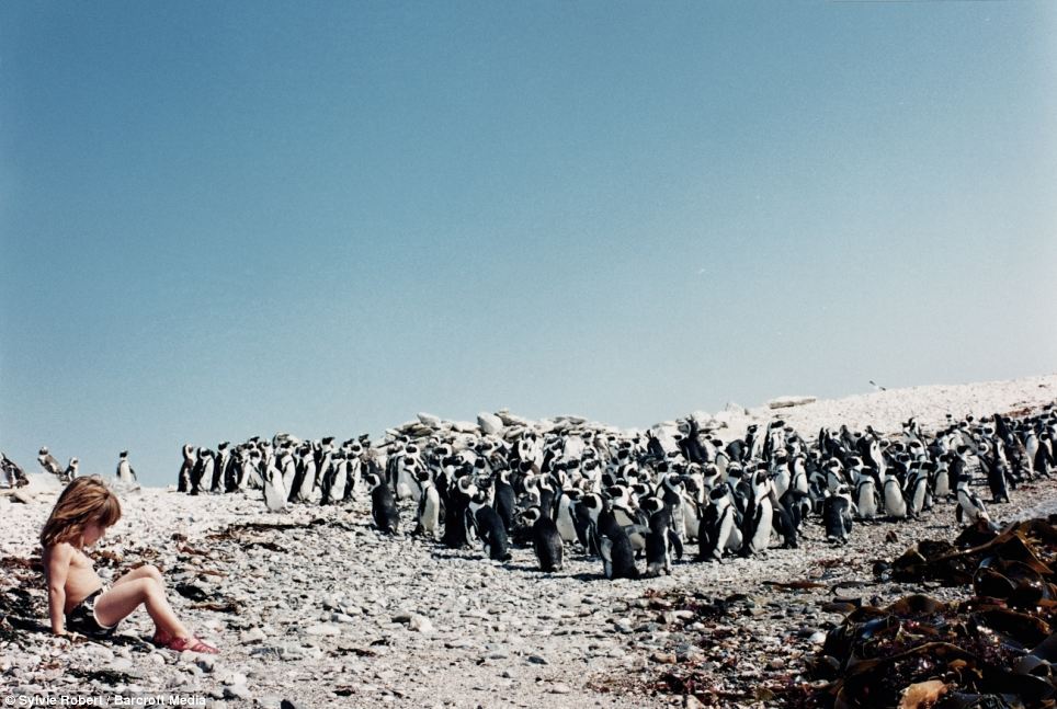 Tippi! | The Style Stash