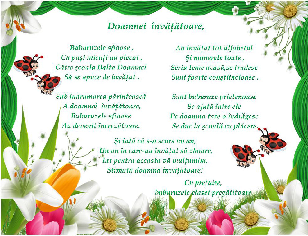 Jurnalul primilor ani de scoala: Doamnei invatatoare