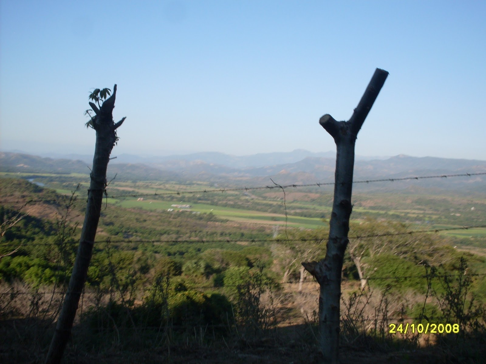 El Jicote, Nayarit
