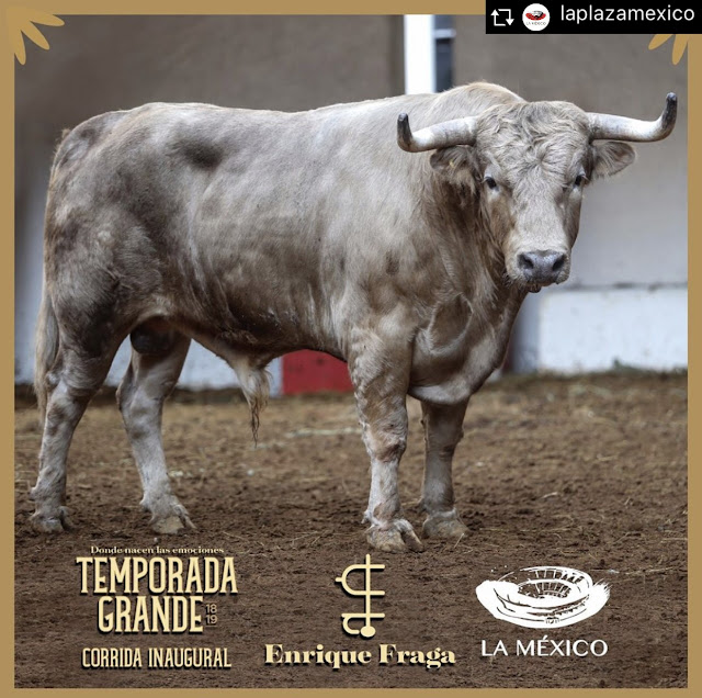 Farpas Blogue: Ventura estreia hoje a ganadaria de Enrique Fraga na ...