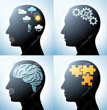 Rincón de Curiosidades: LOS CONCEPTOS: Cómo se forman.