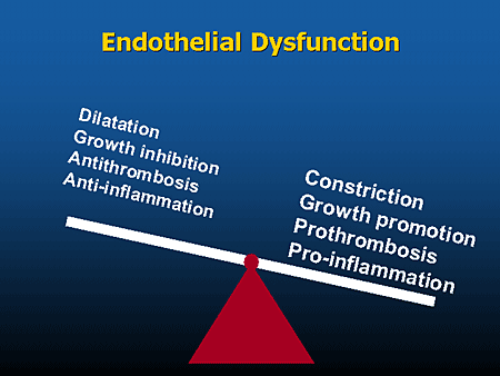 Epiphany: Nitric Oxide (NO), Arginase and Endothelial Dysfunction in Autism