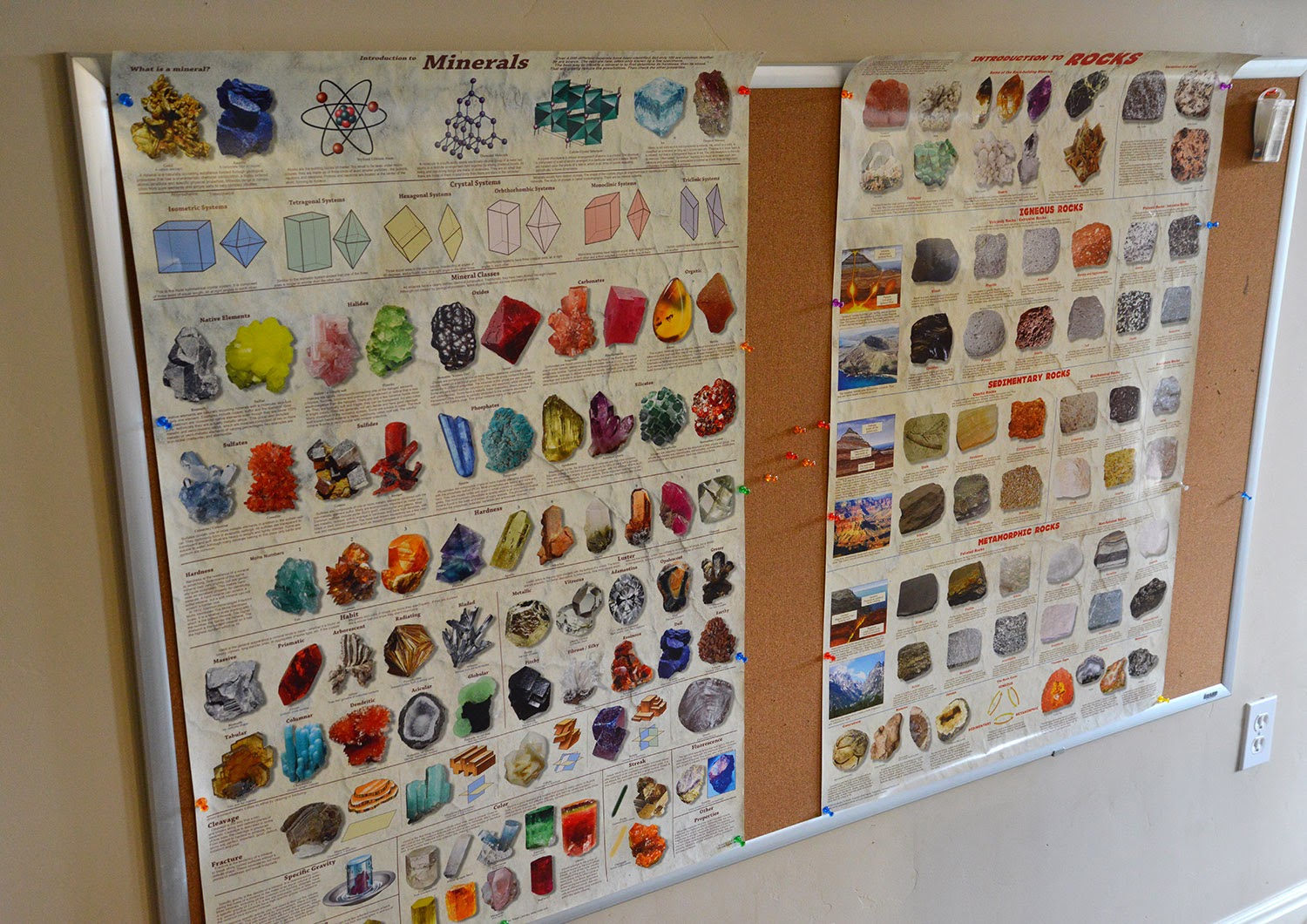 A school of fish: Miscellaneous rock stuff