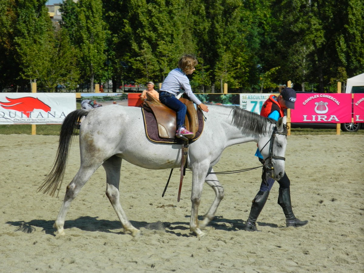 LA MULTI ANI, ROMANIA!: Calarie