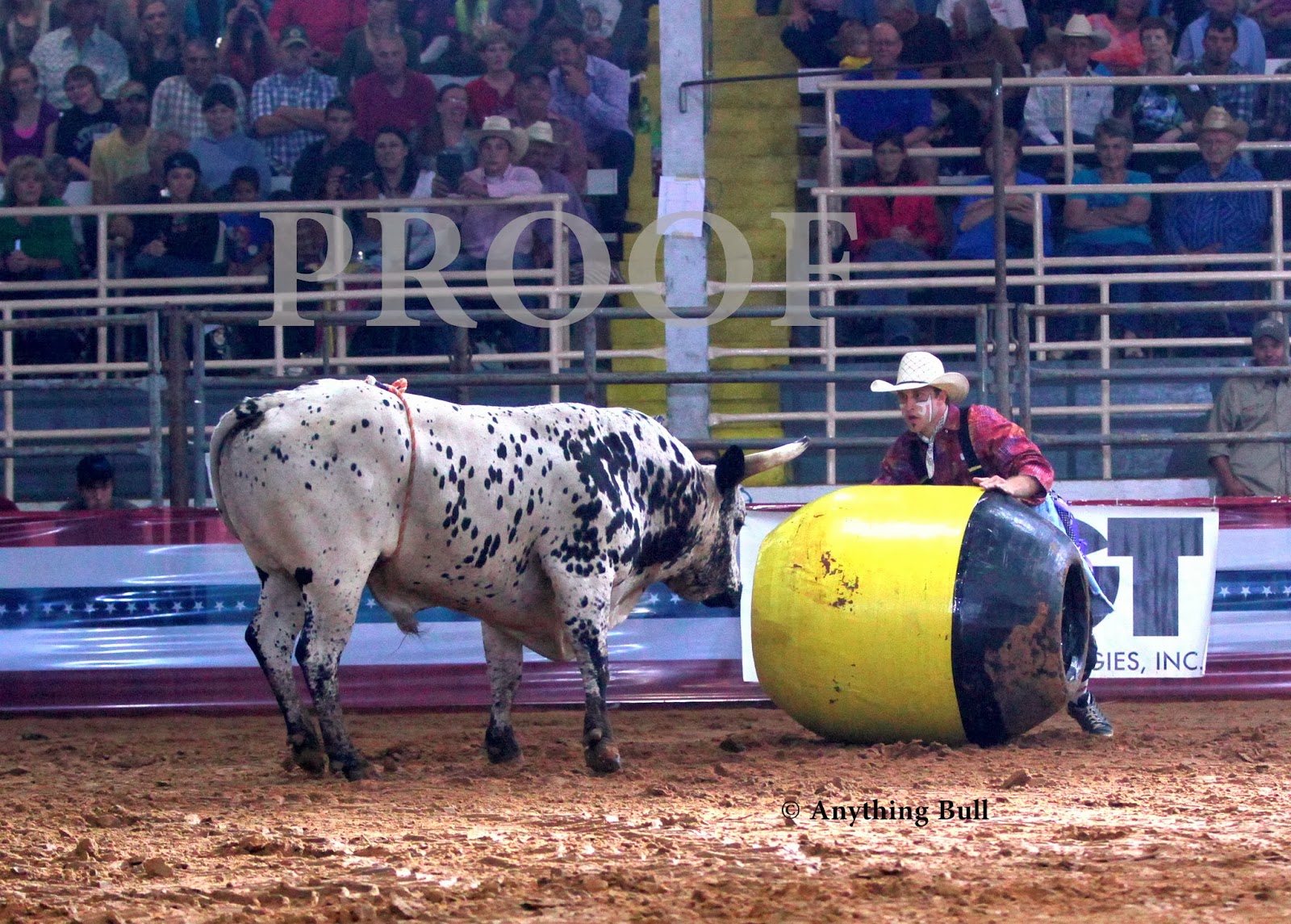 Anything Bull or Rusty: Friday Round 1 - Chuck Swisher