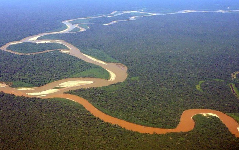 Amazon River & Forest