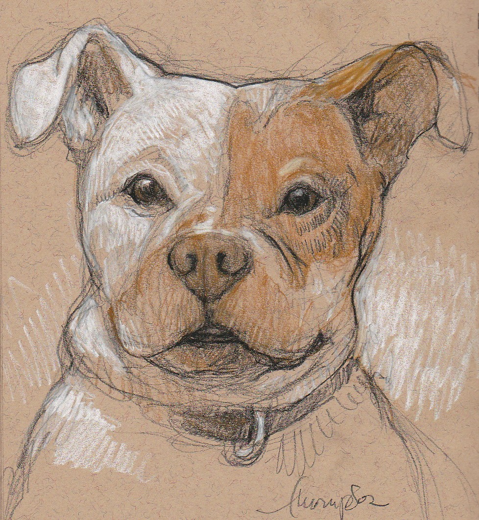 Tracie Thompson, Artist: Pit Bulls and a Dachshund at Urbanimal's ...