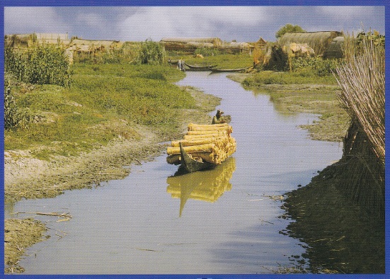 Unesco Postales : Refugio de biodiversidad de los “ahwar” y paisaje ...