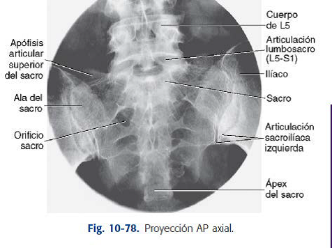 PRODUCCION Y TRATAMIENTO DE IMAGENES DIAGNOSTICAS: CAPITULO COLUMNA ...