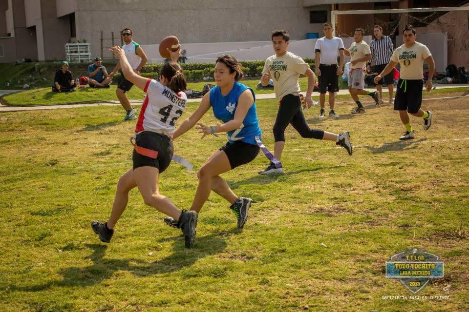 TODO TOCHITO LIGA MÉXICO