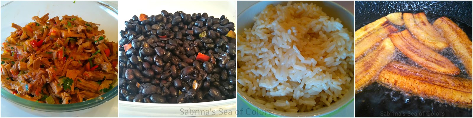 Arepas asadas tradicionales con pabellón - Sabrina´s Sea of Colors